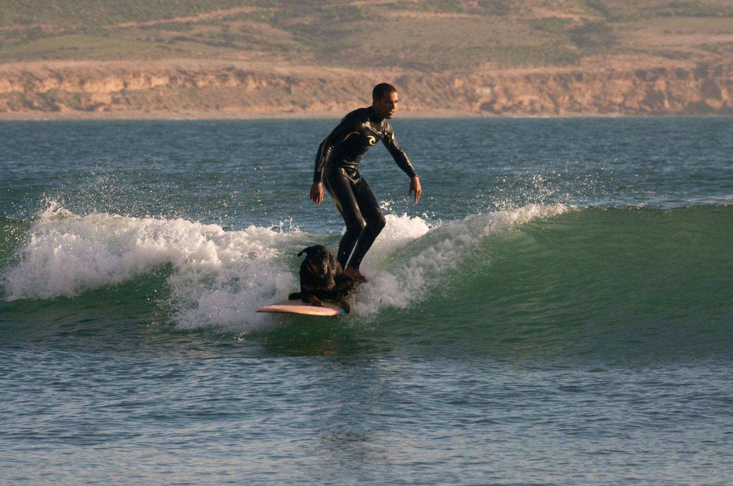 BoardXHouse Marokko - BoardX